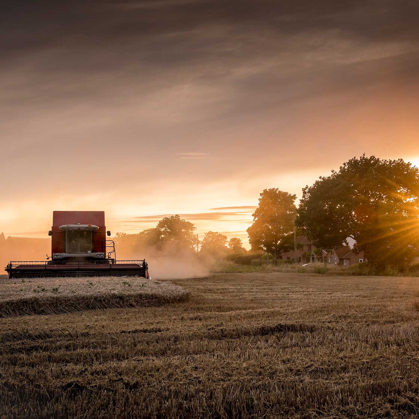 10 fascinating facts about British harvest time | Sainsbury`s Magazine