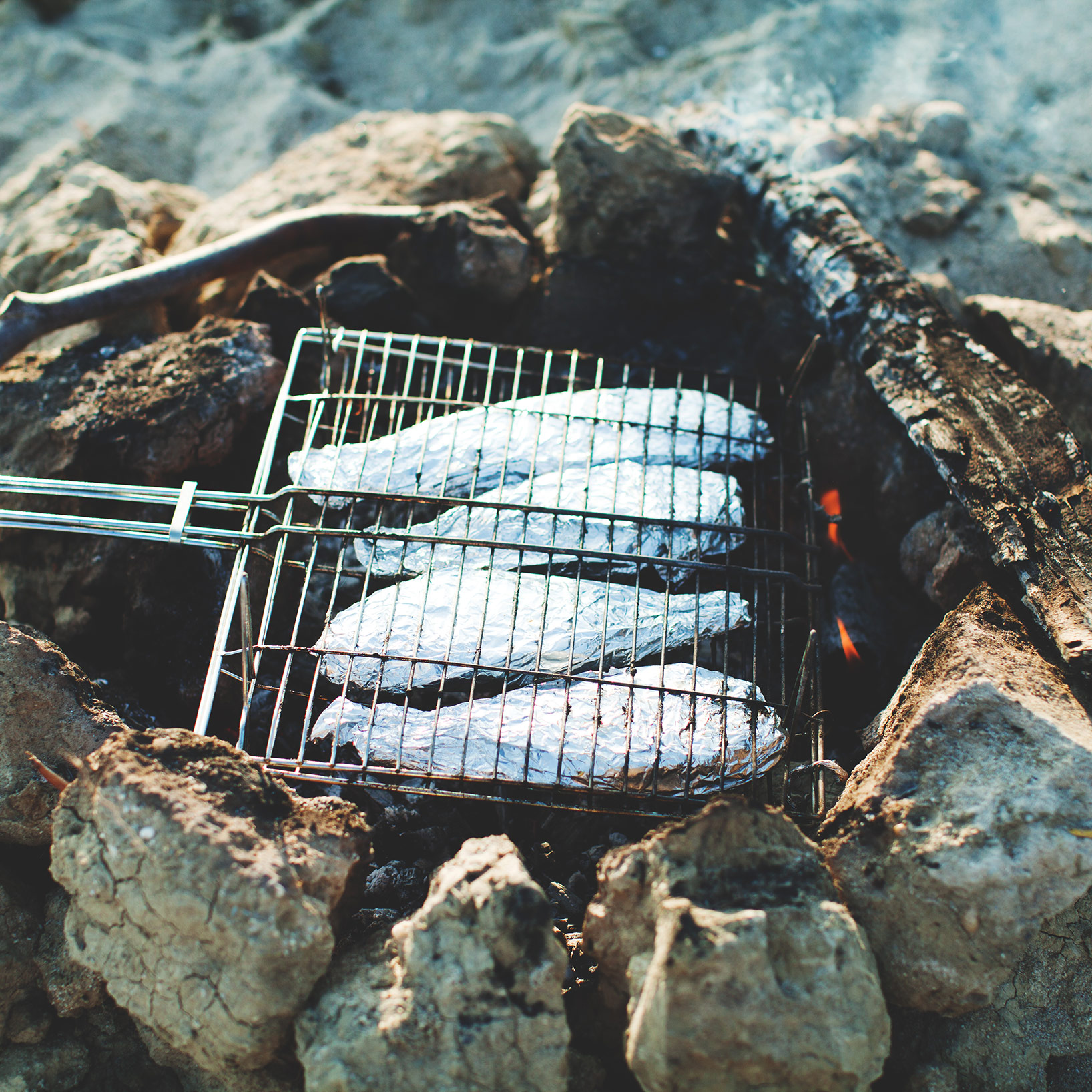 5 things you need to know about wild cooking | Sainsbury`s Magazine