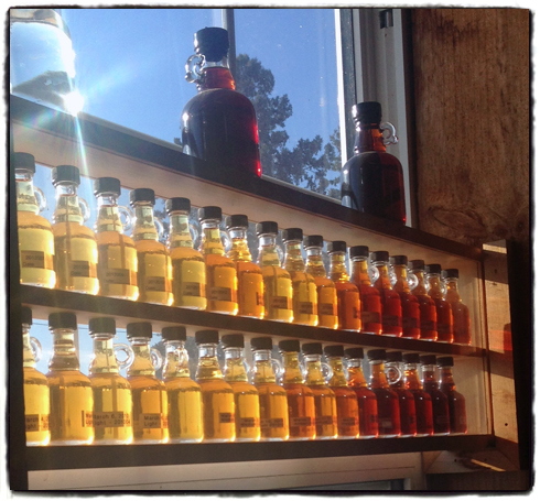 Maple syrup | Sainsbury's Magazine