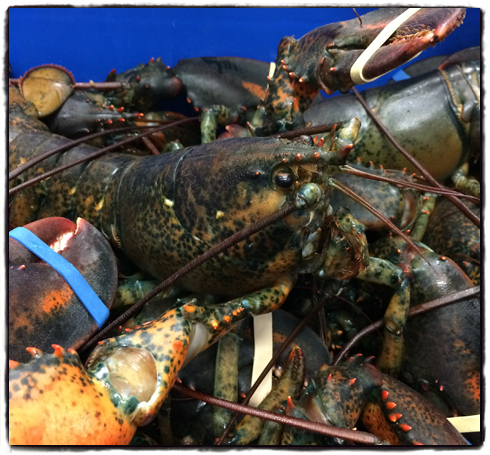 Burger & Lobster: from sea to table | Sainsbury's Magazine