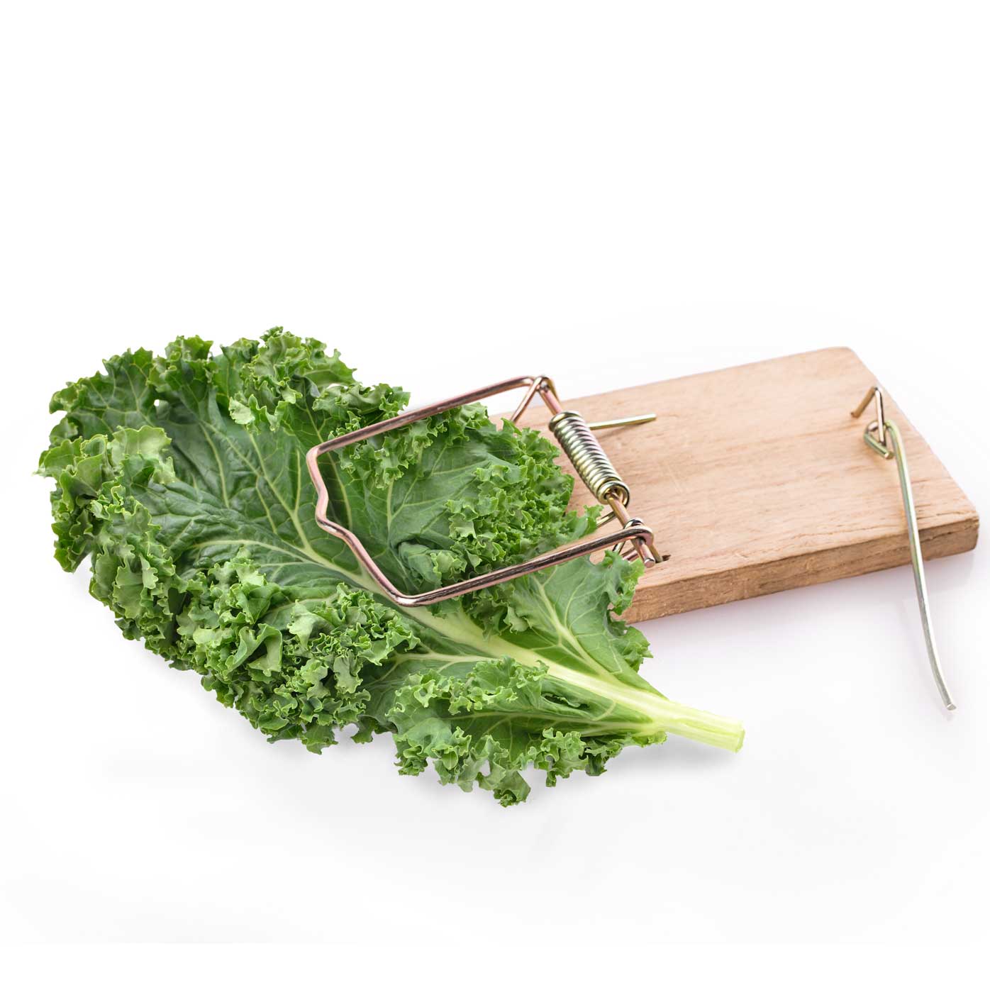 The healthy eating trap: how to get enough of the right nutrients ...