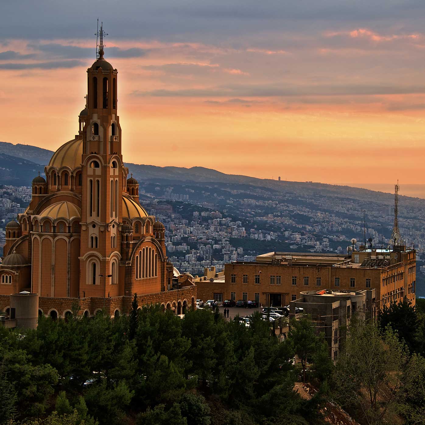 From Lebanon with love | Sainsbury`s Magazine