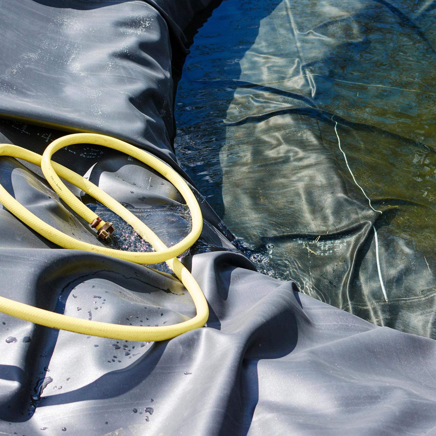 Ponds and water features: how to design and install | Sainsbury's Magazine