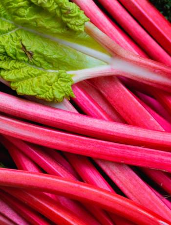 The ultimate guide to pasta shapes | Sainsbury`s Magazine